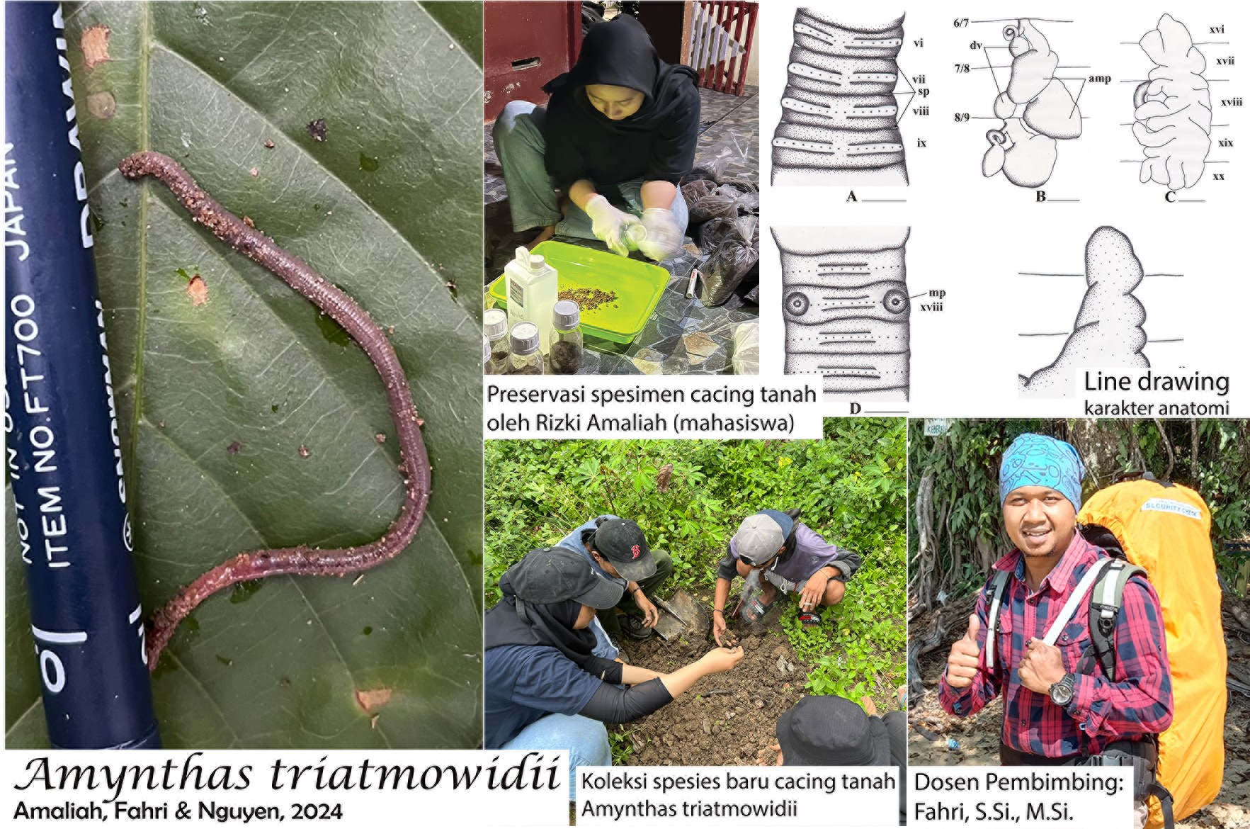 WOW! Mahasiswa Biologi FMIPA UNTAD Temukan Cacing Tanah Jenis Baru — Langsung Tembus Jurnal ...
